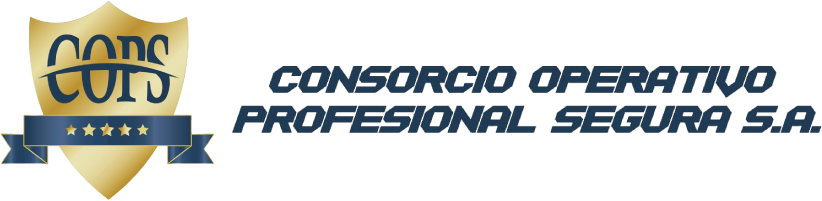 Seguridad COPS - seguridad-cops